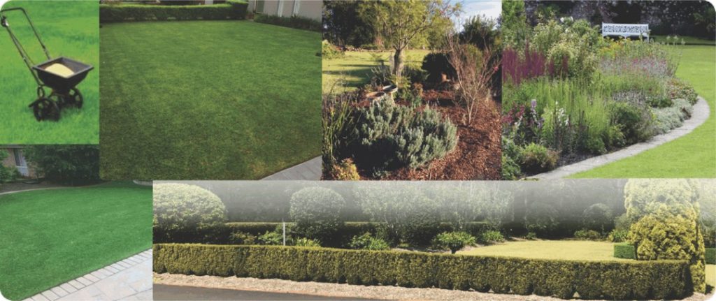 Services Image - Oasis Lawns and Gardens