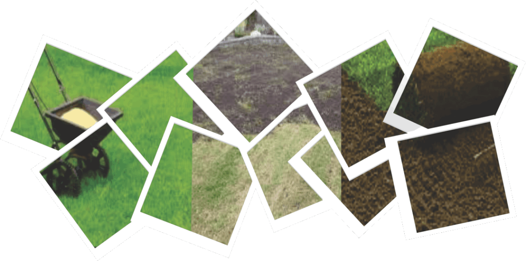 Turf Repair Image - Oasis Lawns and Gardens